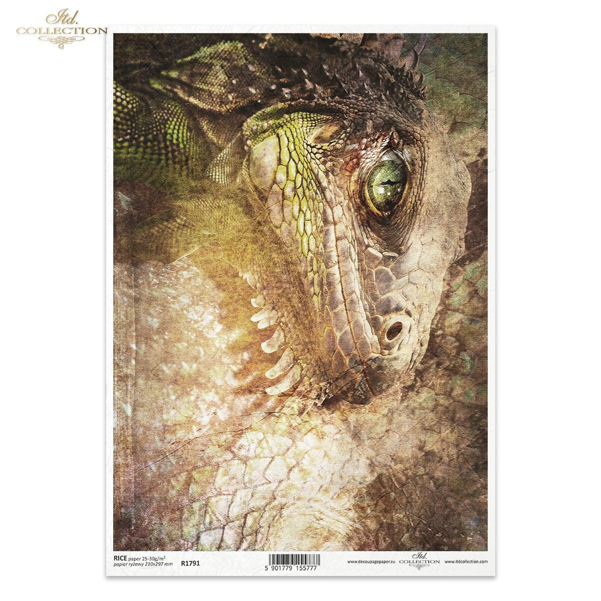 ITD Collection - Golden Dragon - Rice Paper — Root & Company